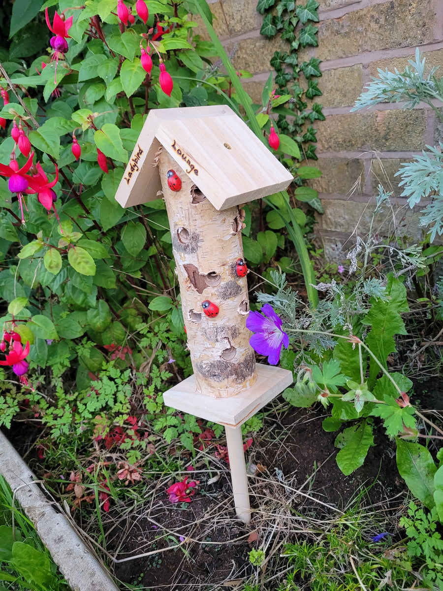 Ladybird Lounge – Gazelle Crafts