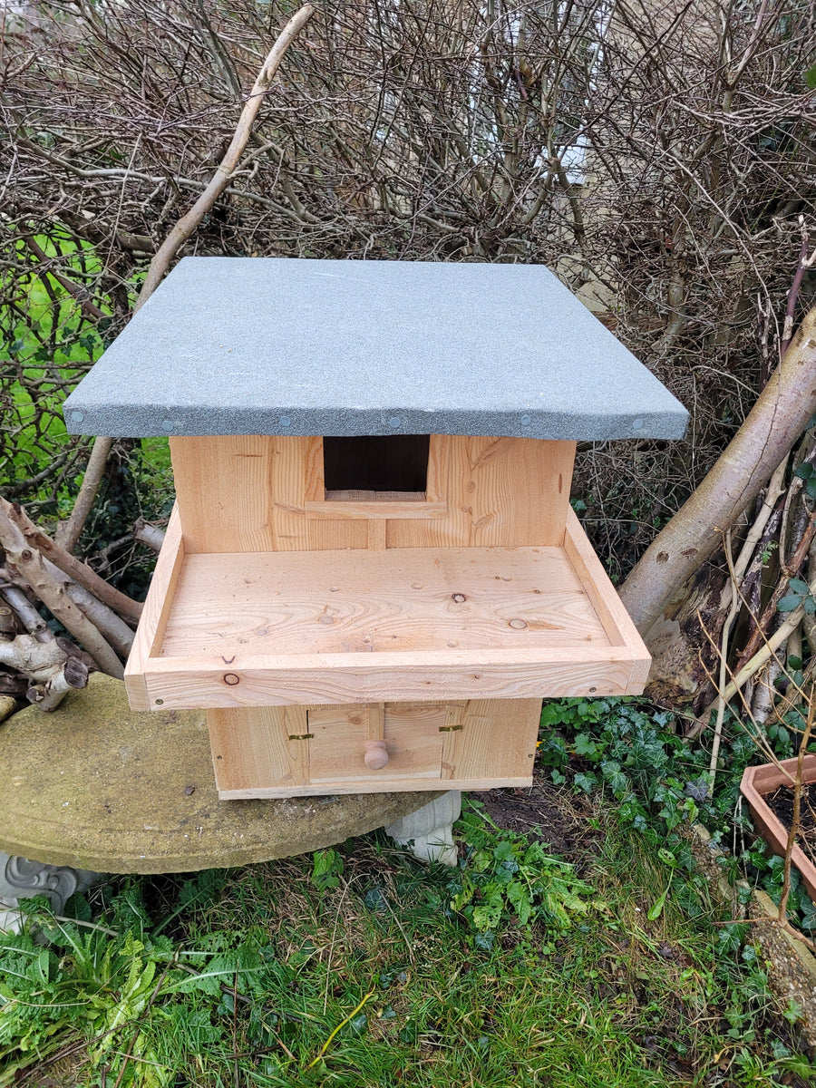 Barn Owl Box – Gazelle Crafts