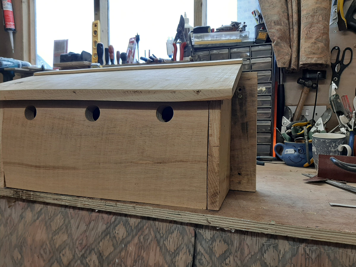 Sparrow Colony Box – Gazelle Crafts